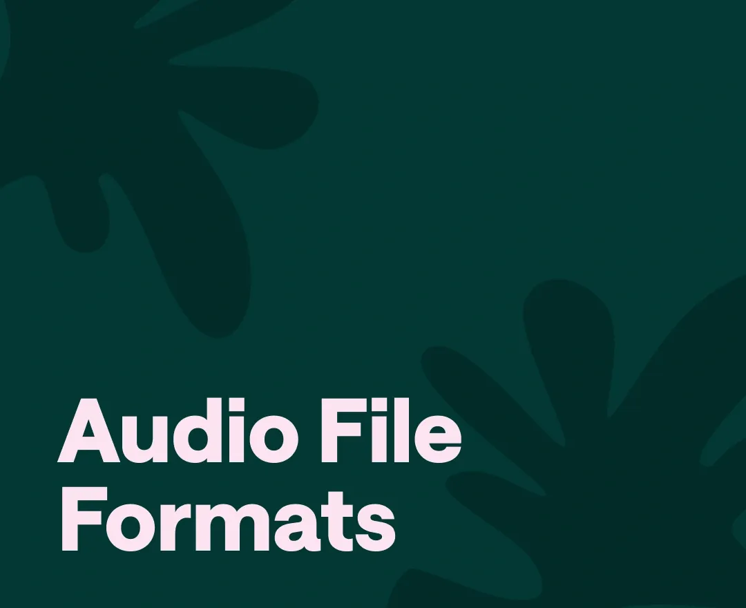 Audio File Formats - The Complete Guide